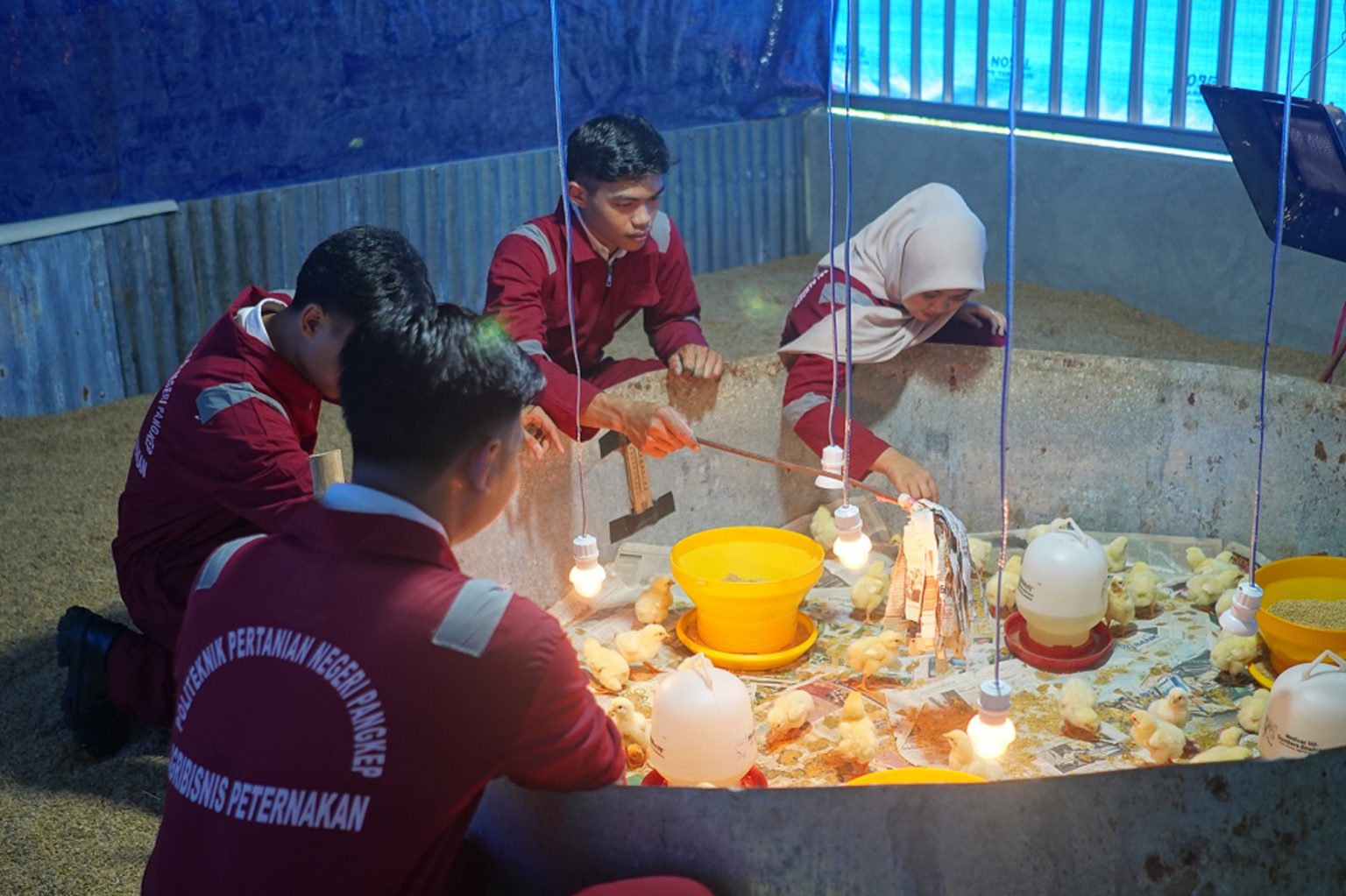 Teknologi Pakan Ternak - Politani Pangkep